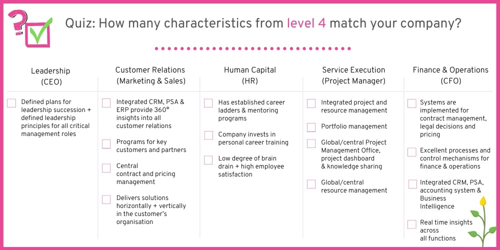 [Explainer] What does it mean to be a mature company?