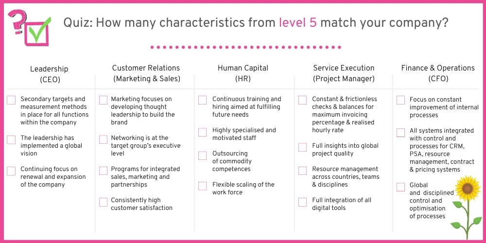 [Explainer] What does it mean to be a mature company?